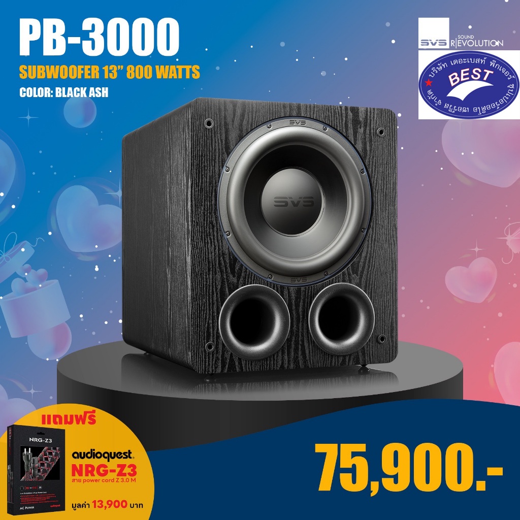 SVS PB3000 13" Subwoofer (Black Ash) | Shopee Thailand