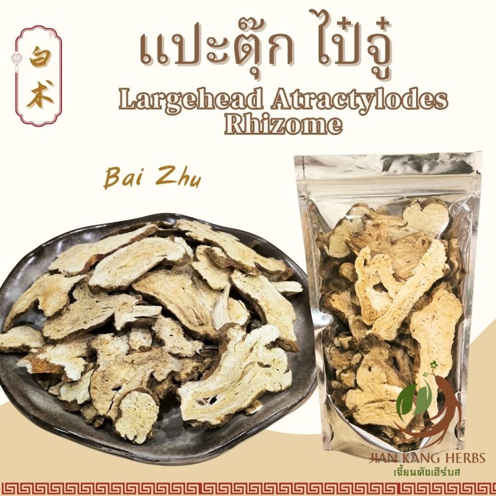 แปะตุ๊ก ไป๋จู๋ เกรด A 25 50 100 กรัม แป๊ะตุ๊ก Bai Zhu สมุนไพรจีน 白术 ...