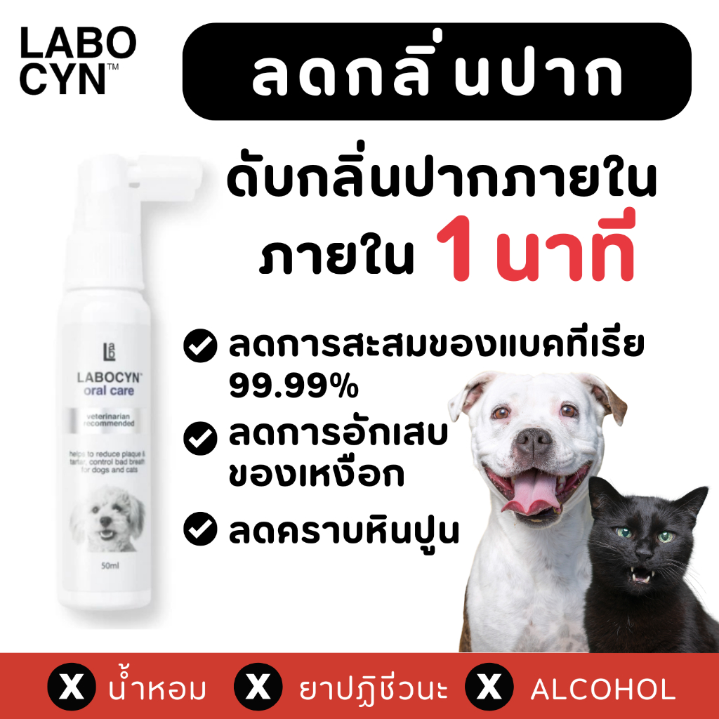 Labocyn Oral Care Spray 50ml สำหรับสุนัขและแมว ลดกลิ่นปาก คราบหินปูน ...