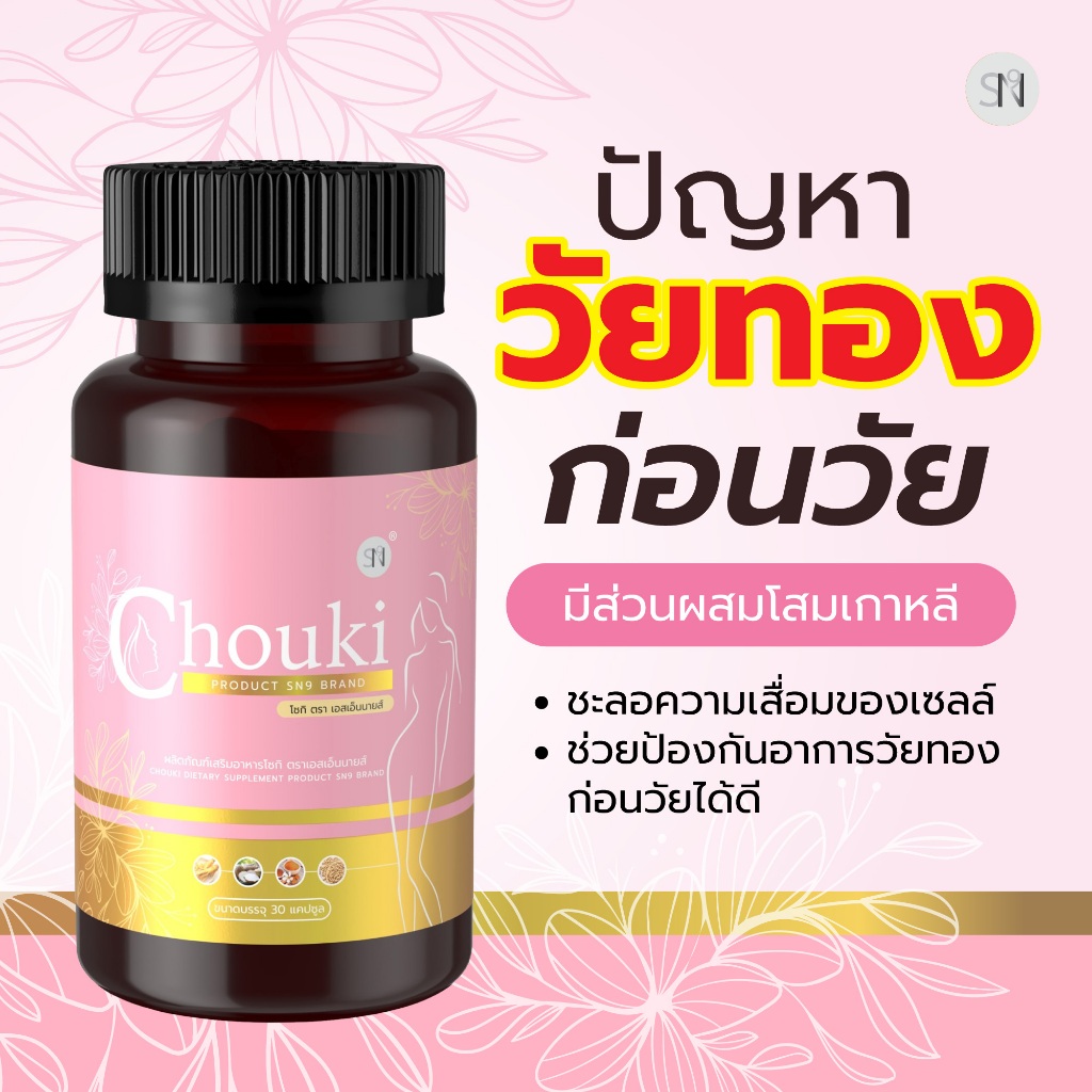 โชกิ Chouki ตรา SN9 กระปุก 30 เม็ด | Shopee Thailand