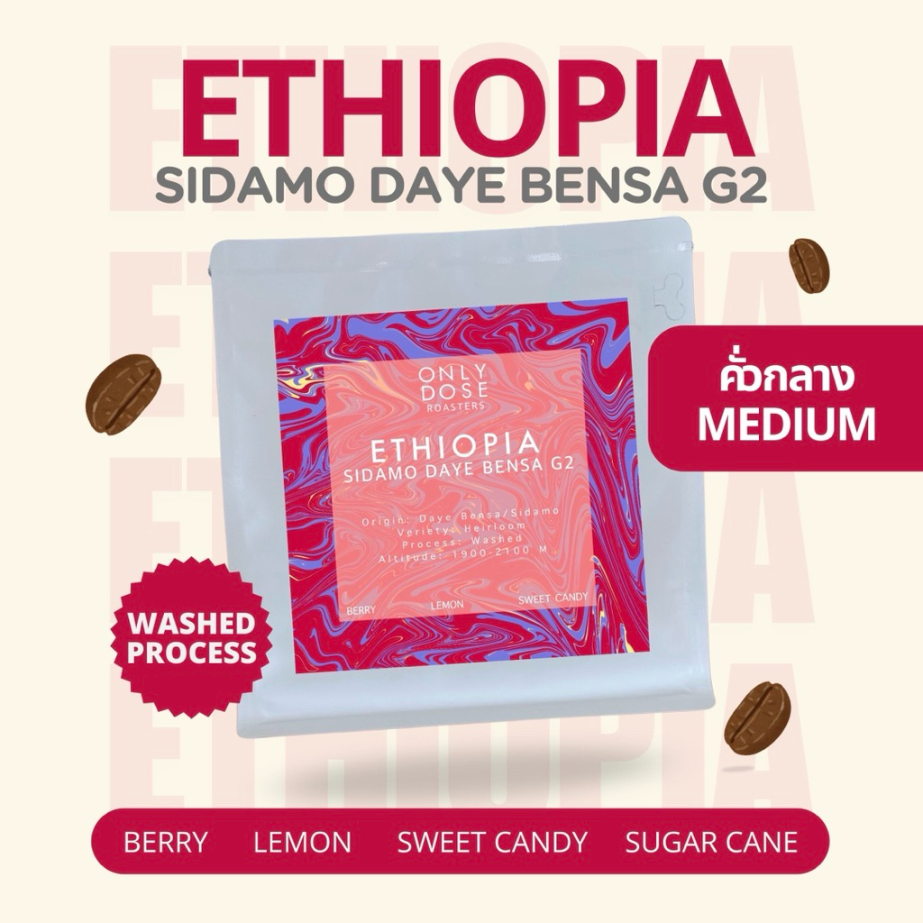 เมล็ดกาแฟเอธิโอเปีย Ethiopia Sidamo Daye Bensa G2 คั่วกลาง ( Medium ...