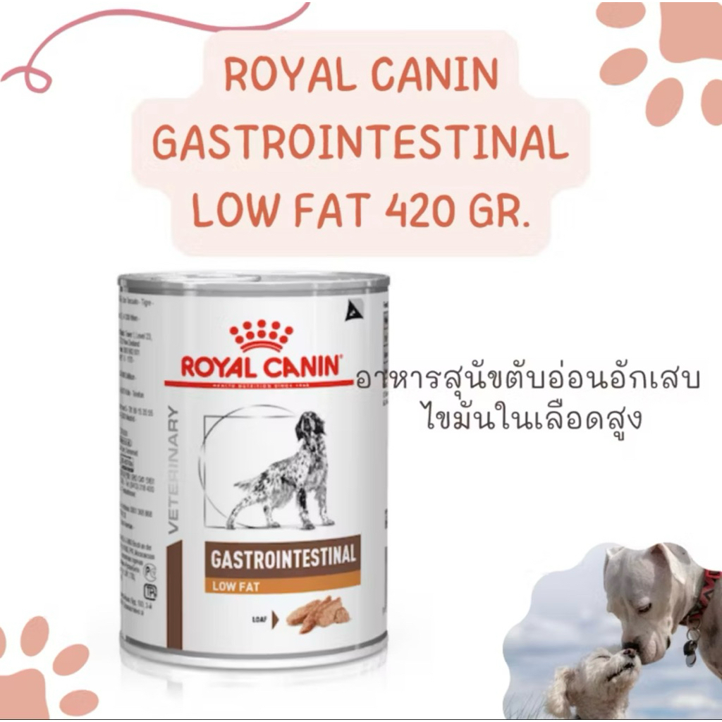 Gastrointestinal Low Fat อาหารเปียก สุนัขรักษาโรคตับอ่อนอักเสบ แบบอาหาร ...