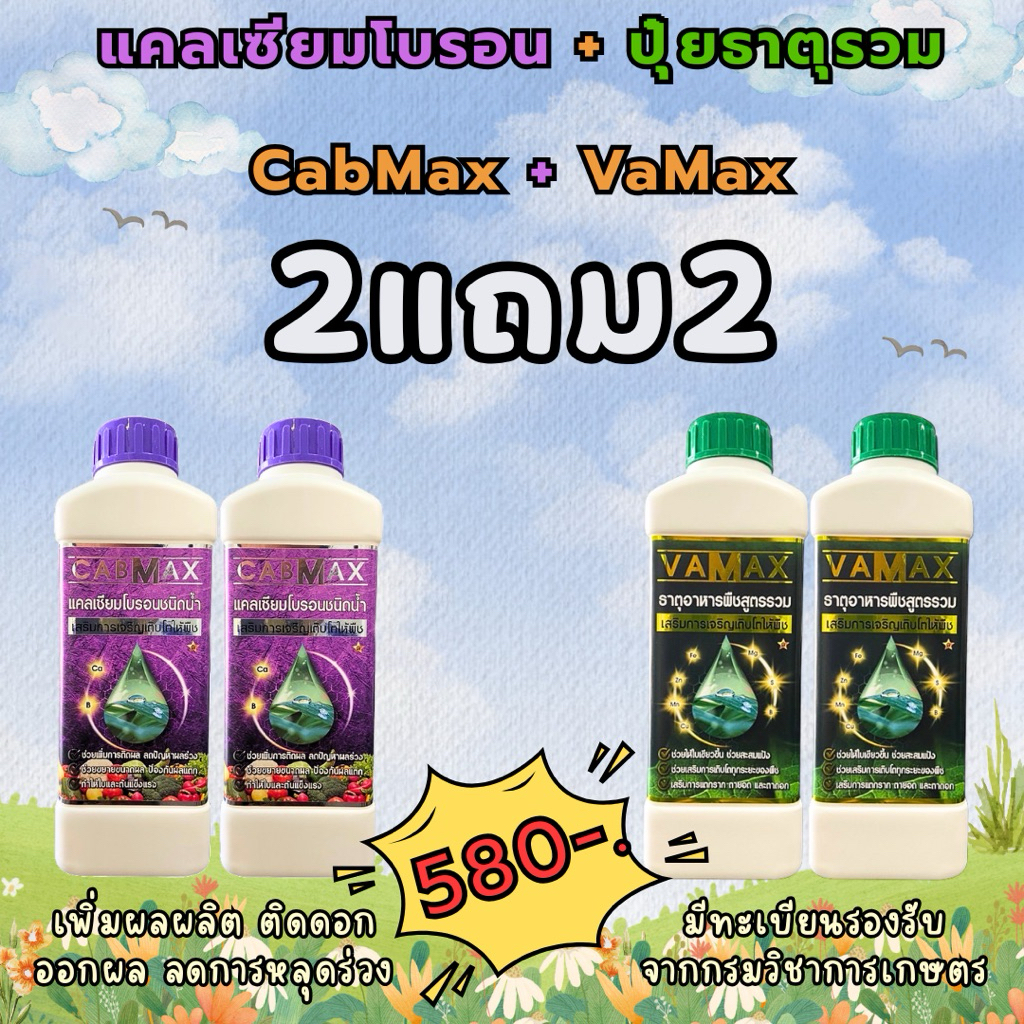 [2แถม2] CabMax+VaMax แคลเซียมโบรอนเข้มข้ม แถม ปุ๋ยธาตุรวม | Shopee Thailand