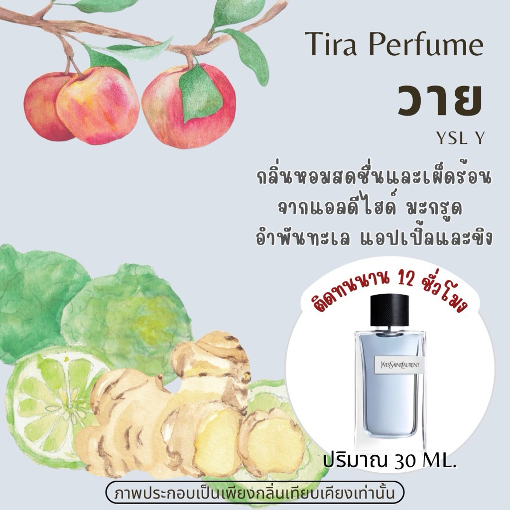 Tira perfume-วาย (YSL Y) ปริมาณ 30 ml. | Shopee Thailand