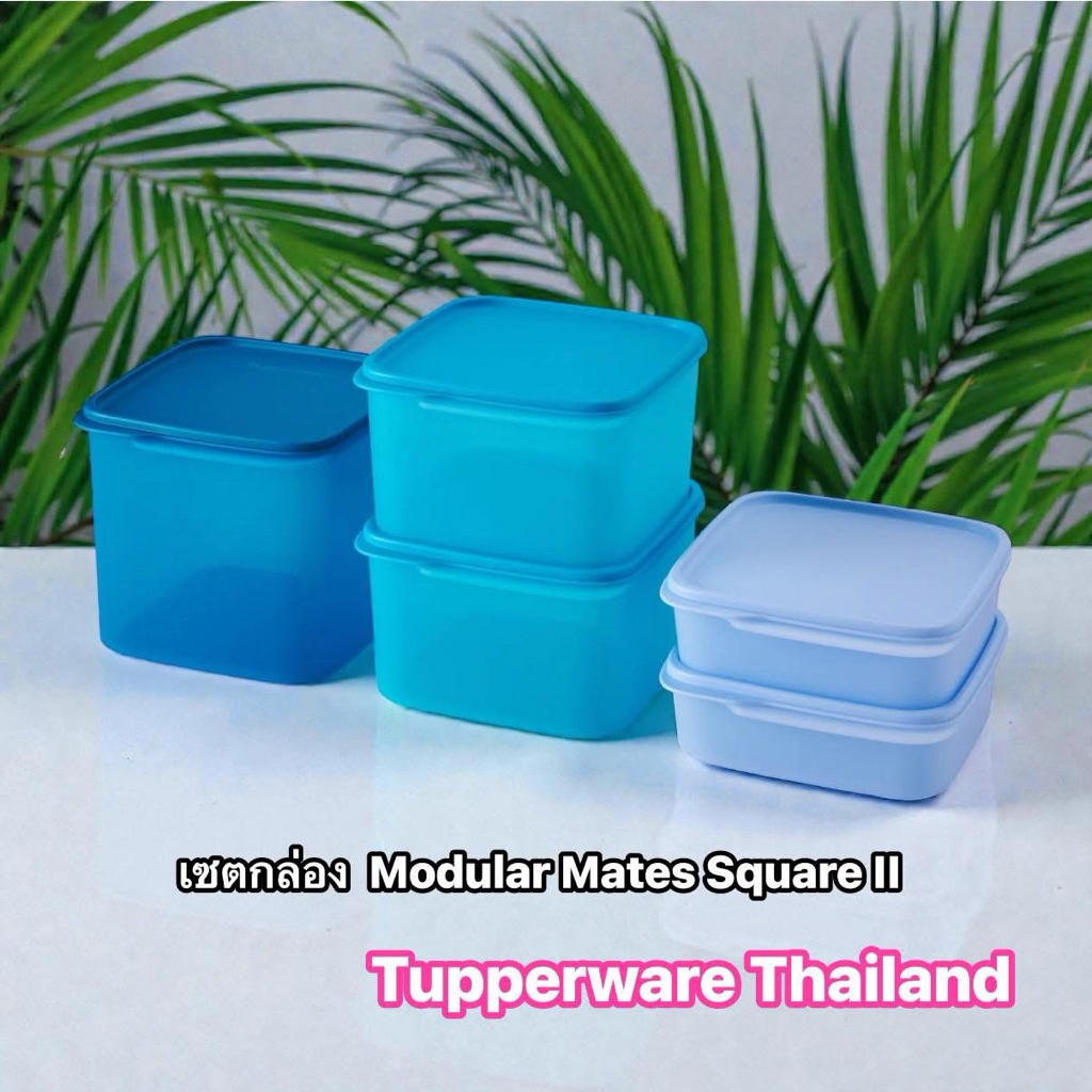 Tupperware รุ่น กล่อง Modular Mates Square II | Shopee Thailand