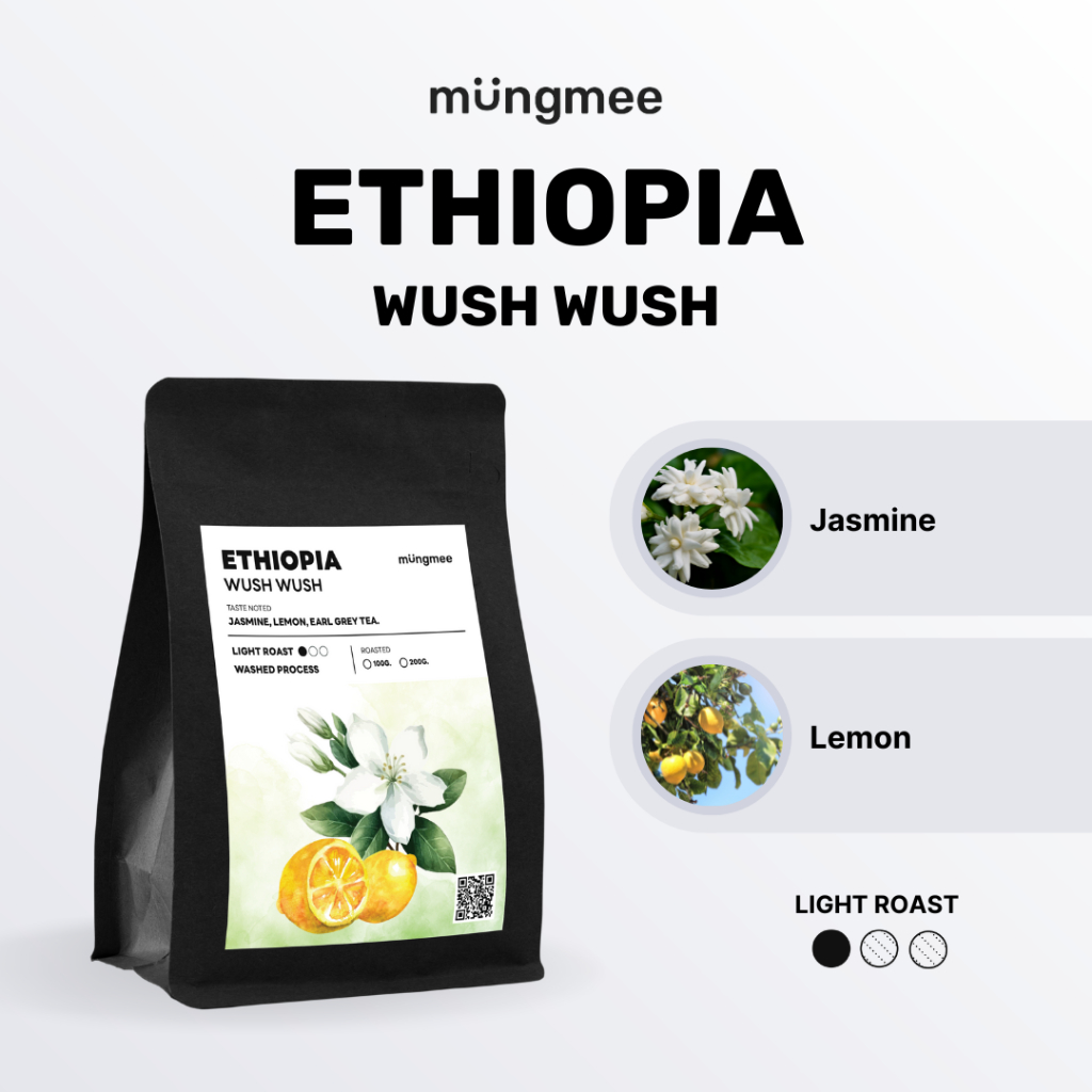 Mungmee Coffee เมล็ดกาแฟ คั่วอ่อน Ethiopia Wush wush | Shopee Thailand