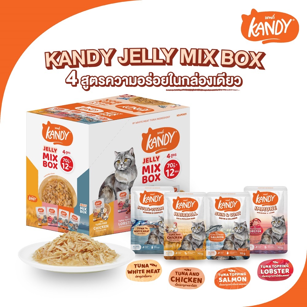 [แบบลัง,48ซอง] Kandy Cat Wet Food 70g. อาหารแมวแคนดี้ ชนิดเปียก ขนาดซอง ...