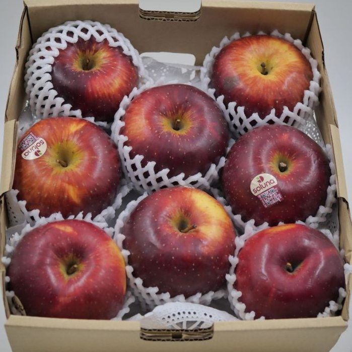 Apple Soluna แอปเปิ้ลออสเตรเลีย โซลูน่า แอปเปิ้ลคุณภาพพรีเมียม 8ลูก กับ ...