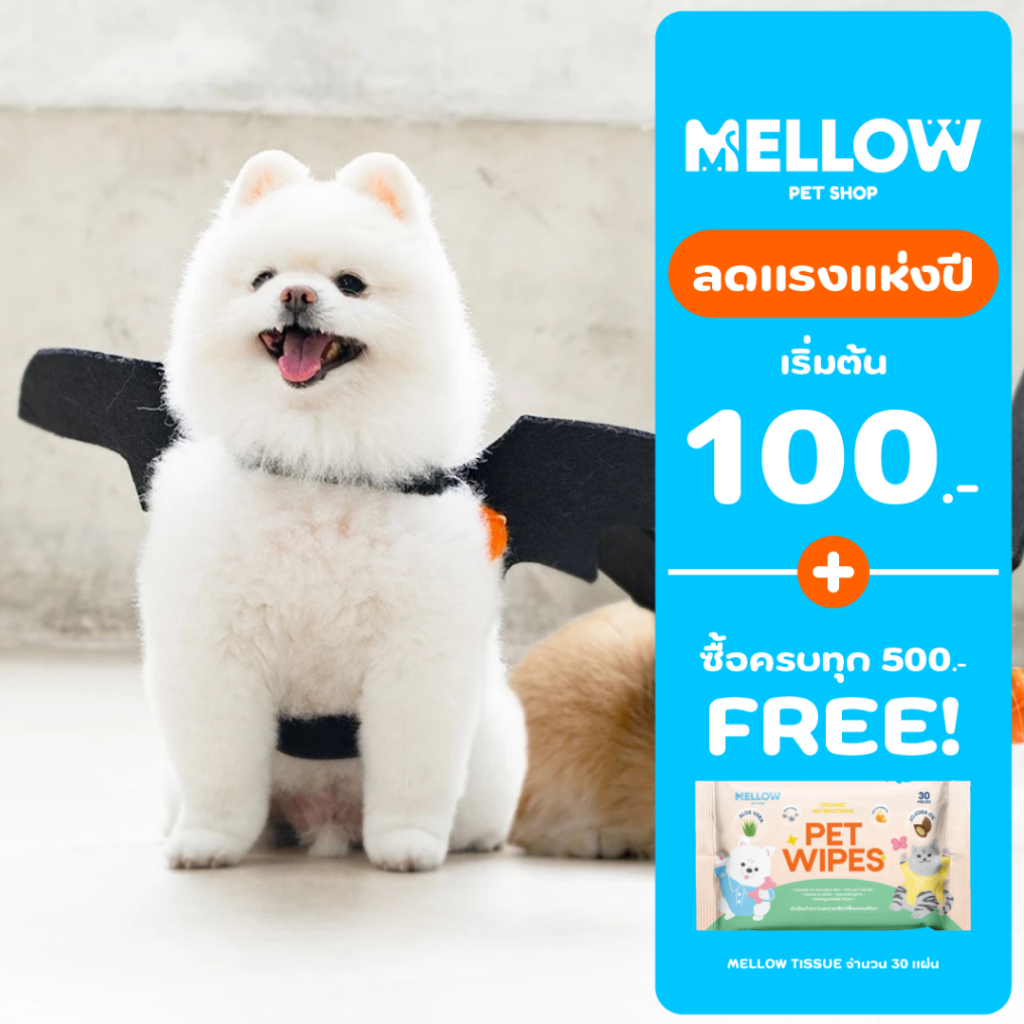 BAT WING (สำหรับน้องหมาน้องเเมว) | Shopee Thailand