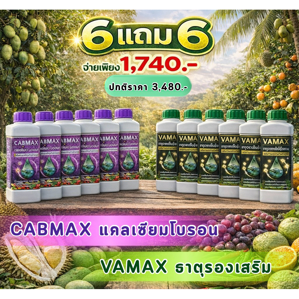 cabmaxแคลเซียมโบรอน 6 ลิตร แถม Vamaxธาตุรองเสริม 6 ลิตร (C6+V6 ...