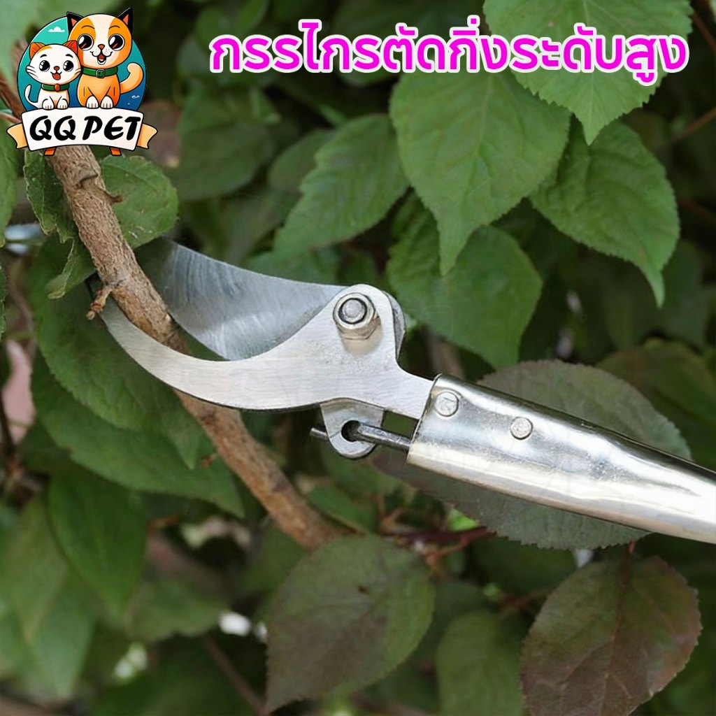 QQ กรรไกรตัดผลไม้ด้ามยาว 1.5/2 ม. สแตนเลสกันสนิม ปาก 6 ซม. ปลอดภัย ...