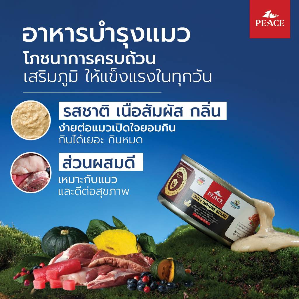 [IG x ยกลัง 24 กระป๋อง] Peace Chicken Souffle | Shopee Thailand