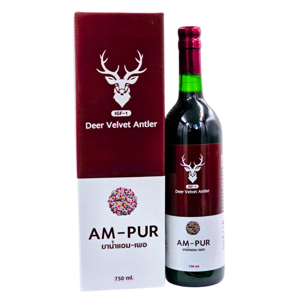 Am-Pur (1 ขวด) 🦌🦌AM-PUR แอม-เพอ เขากวางอ่อน | Shopee Thailand