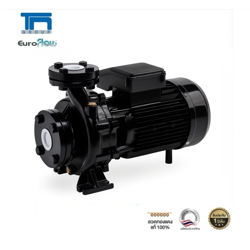 ปั๊มน้ำหอยโข่ง EUROFLOW รุ่น WM32-160B 3 HP ท่อ 2นิ้วx 2 นิ้ว 3แรงม้า ...