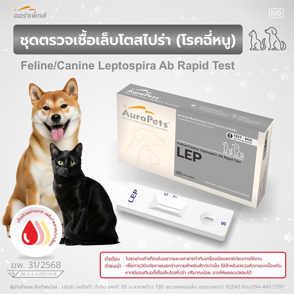 ชุดทดสอบเลปโตสไปโรซิสแอนติบอดีแบบรวดเร็ว Lepto ใน สุนัข หรือ แมว ...