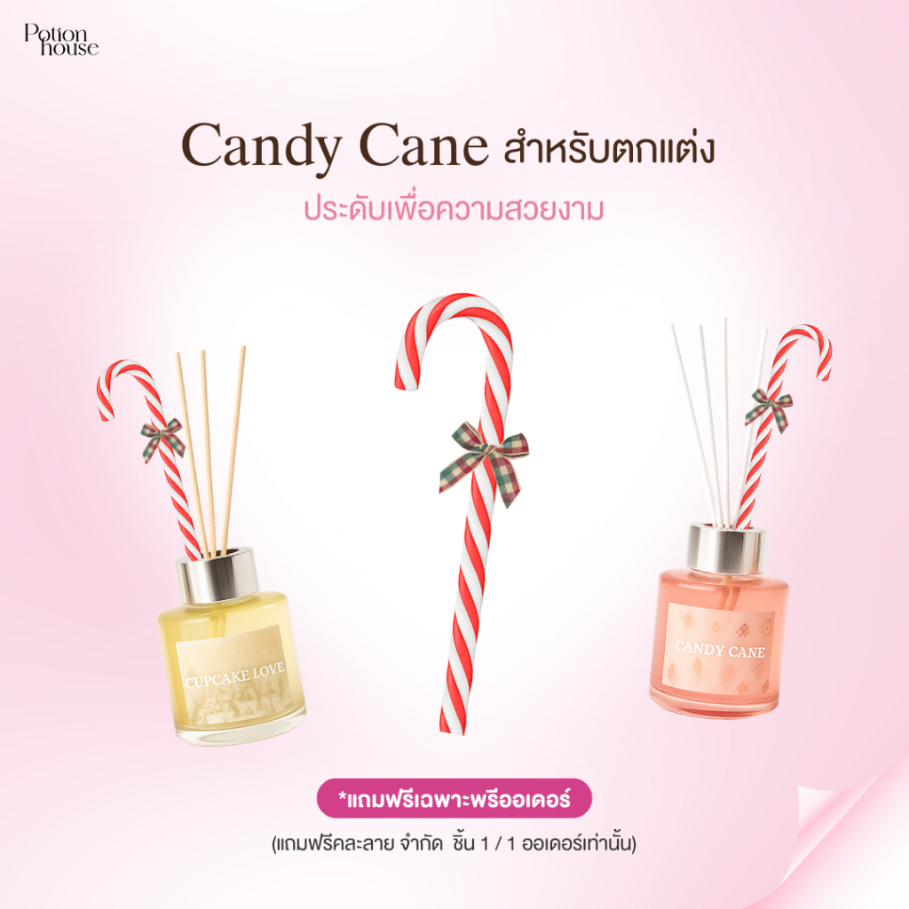 [On top] Candy cane สำหรับตกแต่ง ประดับเพื่อความสวยงาม | Shopee Thailand