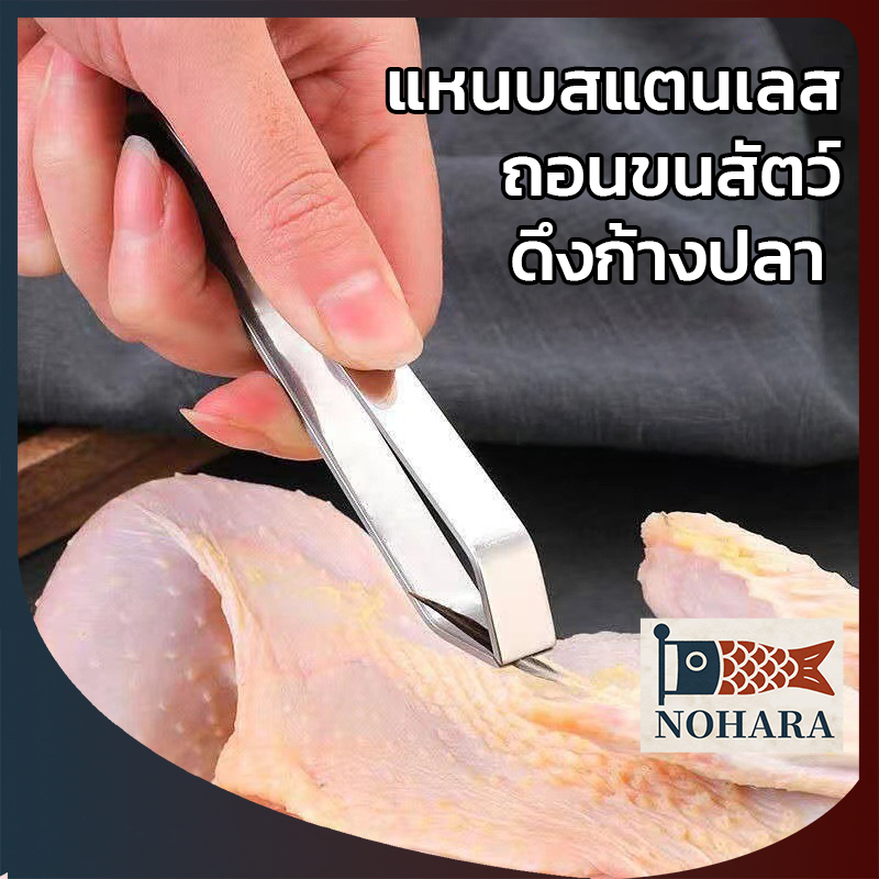 คีมถอนขนสแตนเลส ดึงขนปลา ขนไก่ ขนหมู ขนเป็ด ปลายตรง/เฉียง | Shopee Thailand