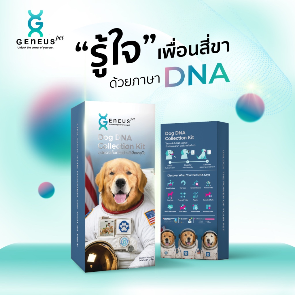 Geneus Dog DNA Test |ตรวจ DNA สุนัข ค้นพบสายพันธุ์ สุขภาพ พรสวรรค์ ...