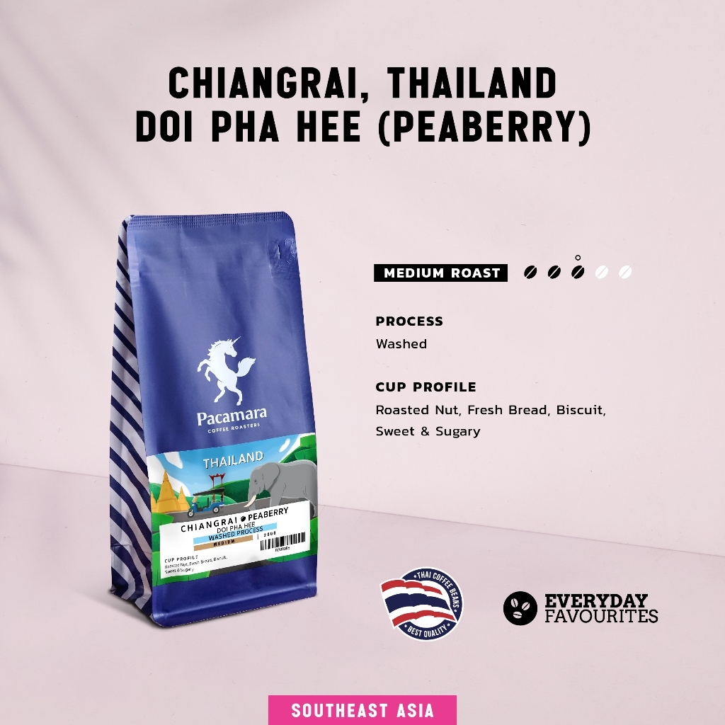 Pacamara เมล็ดกาแฟ Thailand Doi Pha Hee Lahu Wash Process Medium Roast ...