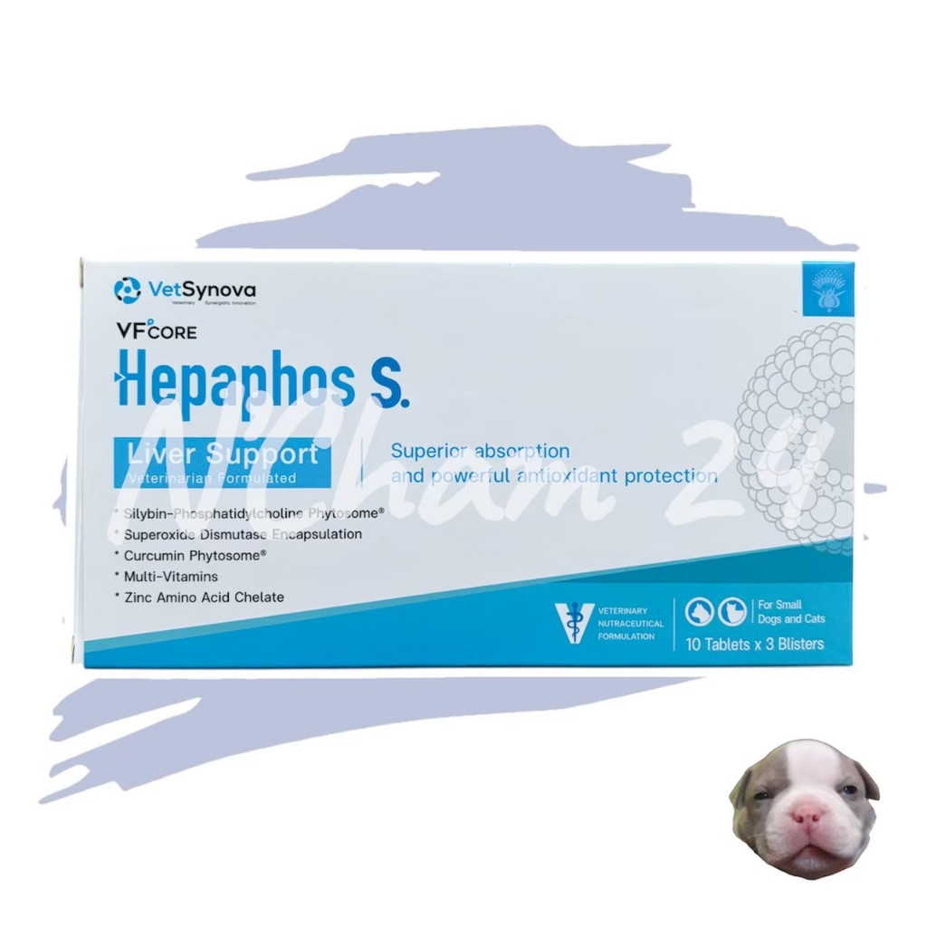 Hepaphos S. ขนาดเม็ดเล็ก วิตามินบำรุงตับ สำหรับสุนัขและแมว 1 กล่อง 30 ...
