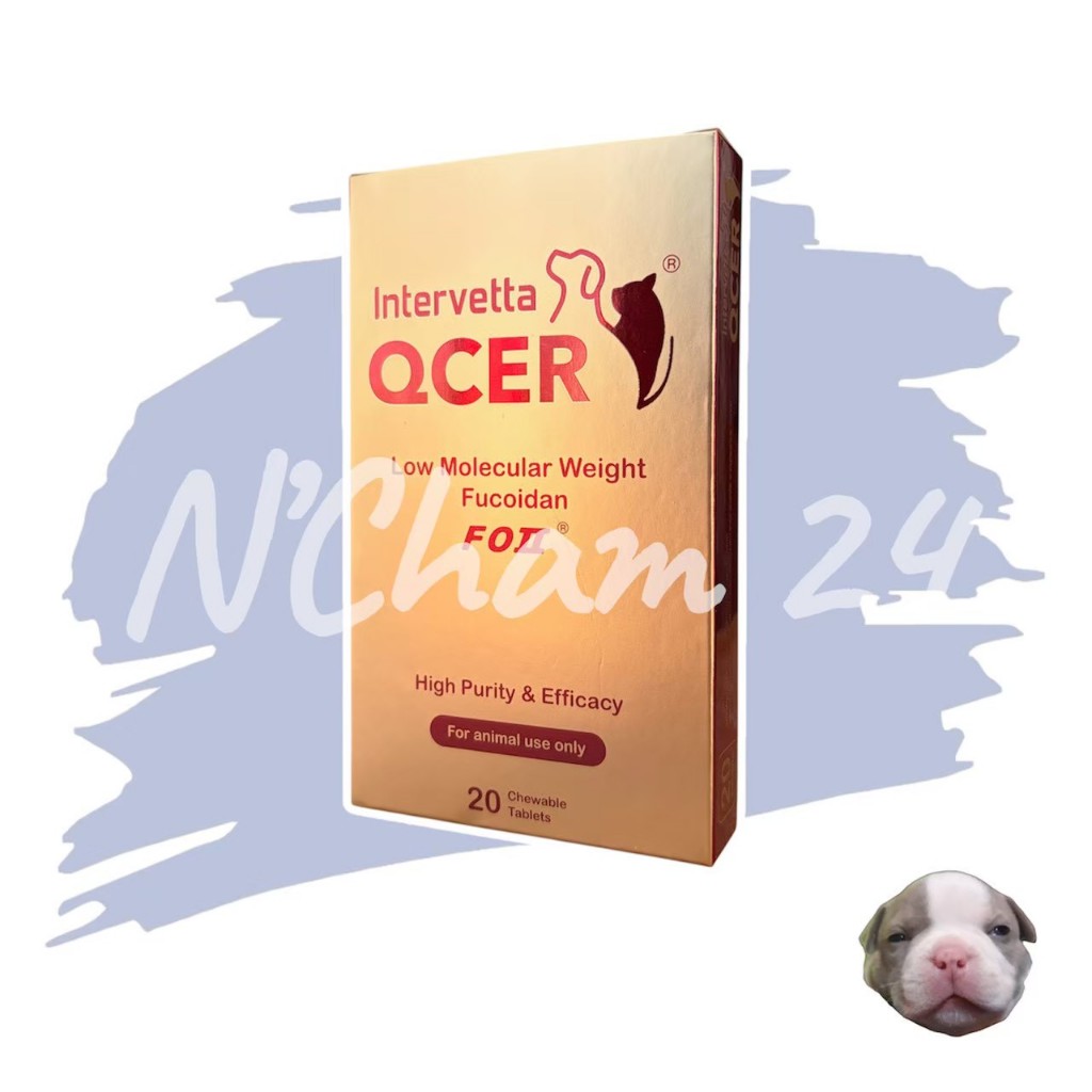 QCER บรรจุ20เม็ด ผลิตภัณฑ์ต่อต้านมะเร็งและเสริมภูมิคุ้มกันให้สมดุลย์ ...