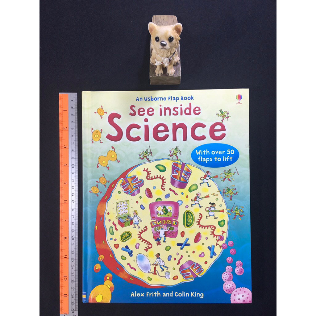 Usborne : See Inside Science หนังสือเด็กภาษาอังกฤษ Boardbook (Pre-owned ...