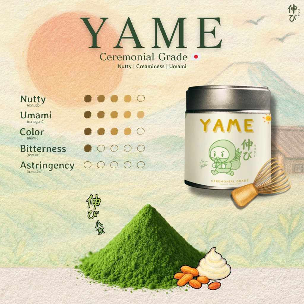 YAME NOBI มัทฉะโทนถั่ว Yame Ceremonial เกรดพิธีการ รส Nutty Creamy ...