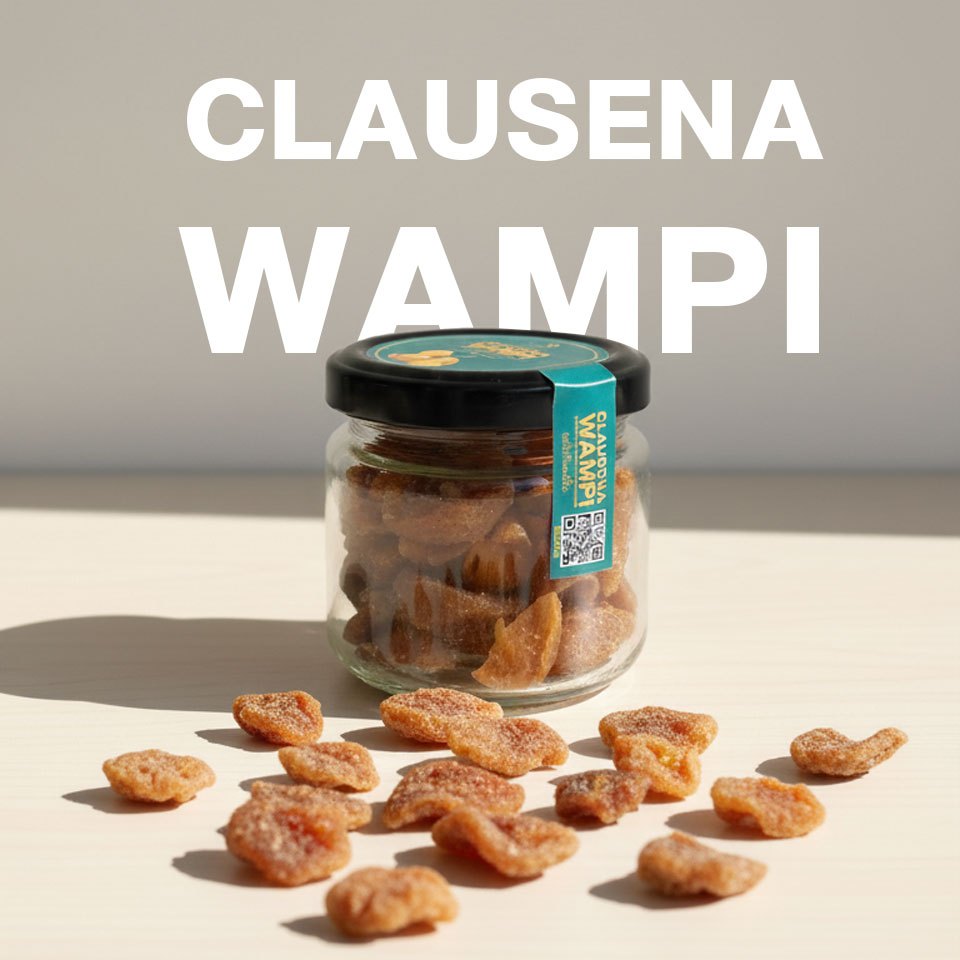 มะไฟจีนอบเเห้ง ชุมชนบ้านกอก DRIED FRUIT : CLAUSENA WAMPI-NAN (40g ...