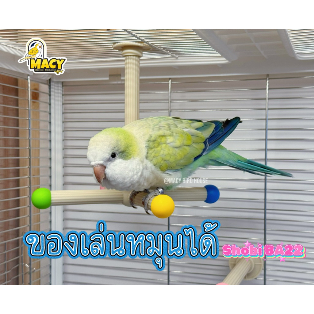 Shobi-BA19คอนเกาะเดี่ยว,BA22 คอนยืน คอนหมุนได้ | Shopee Thailand