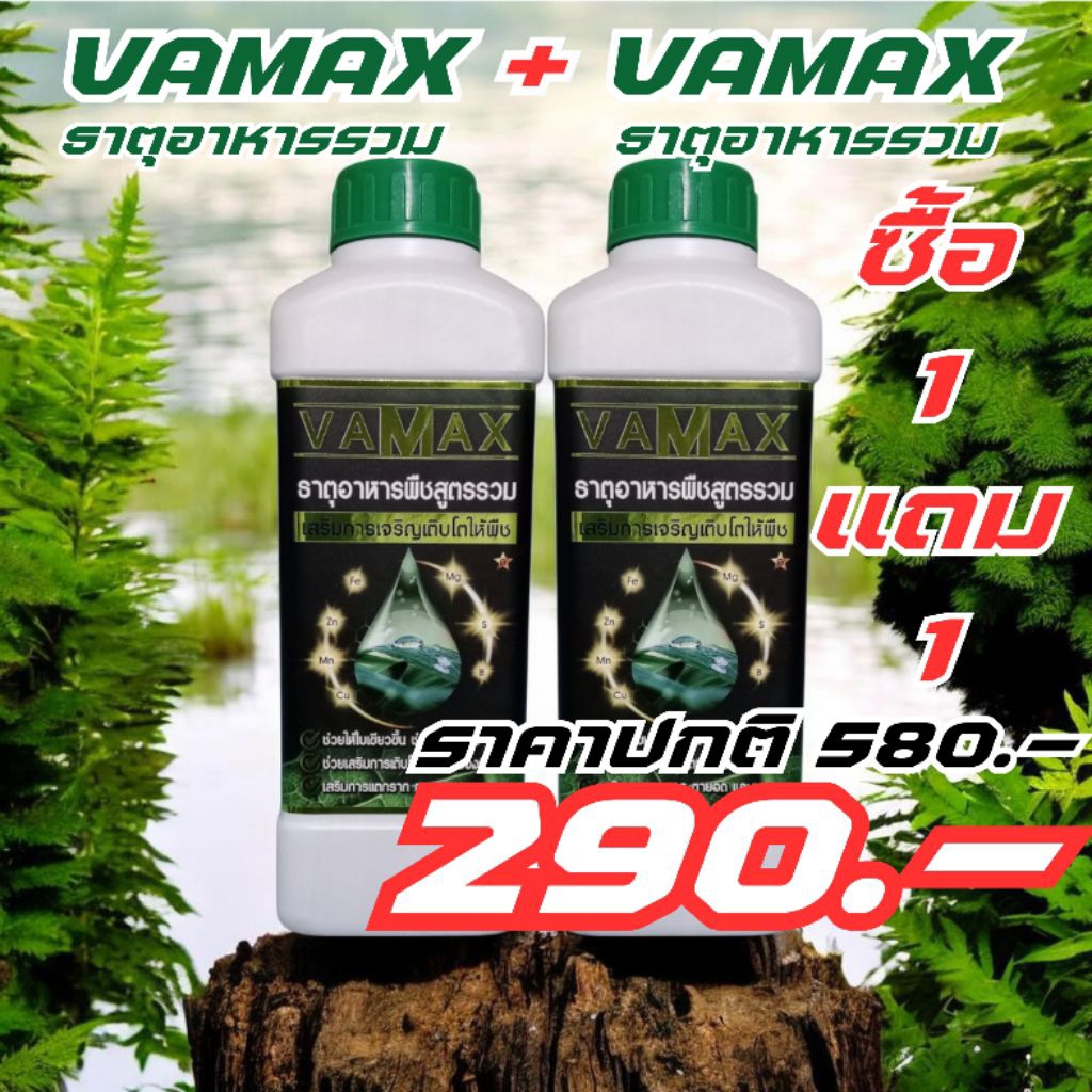 VAMAX - ธาตุอาหารรวม(ซื้อ1แถม1) | Shopee Thailand