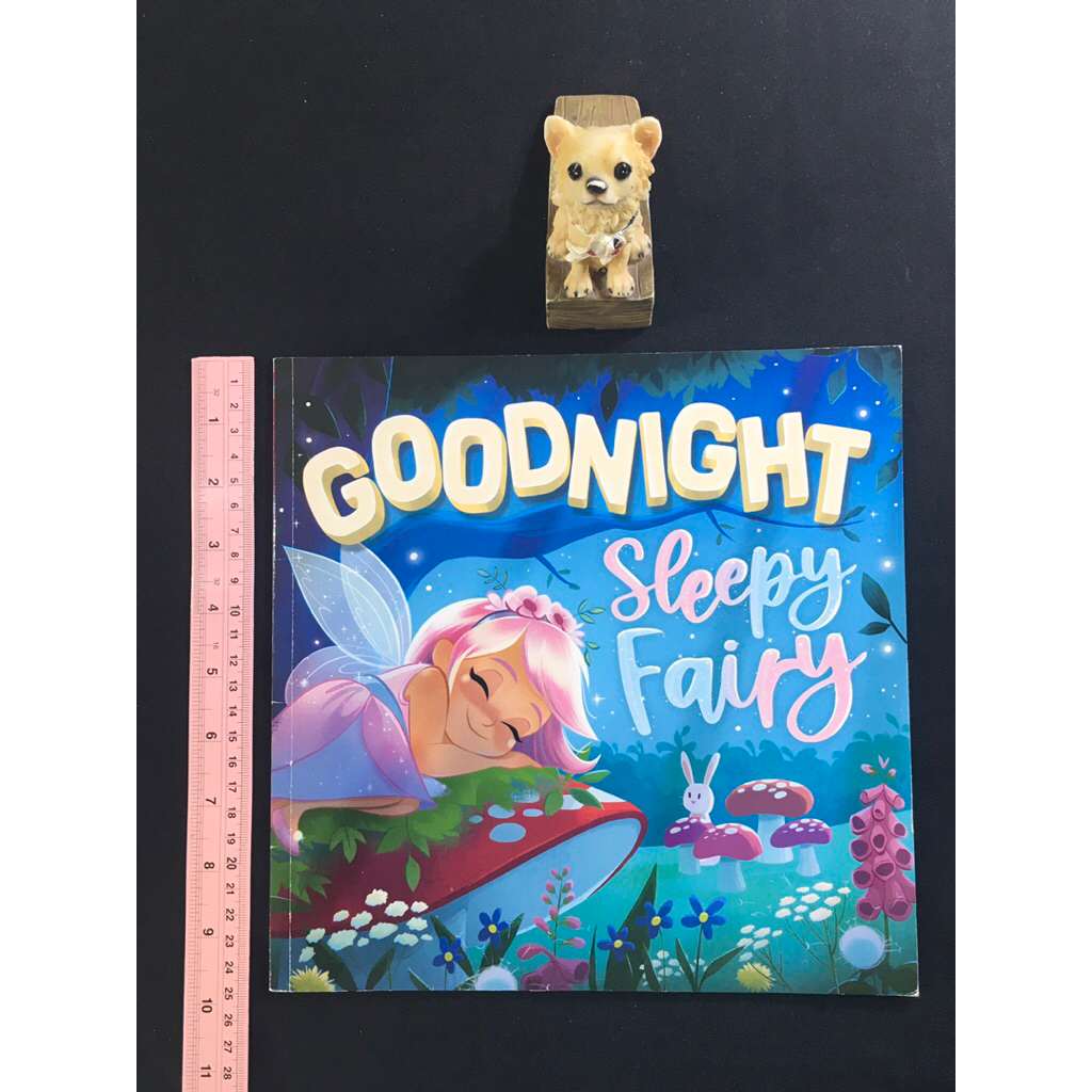 Goodnight Sleepy Fairy หนังสือเด็กภาษาอังกฤษปกอ่อน (Pre-owned) | Shopee ...