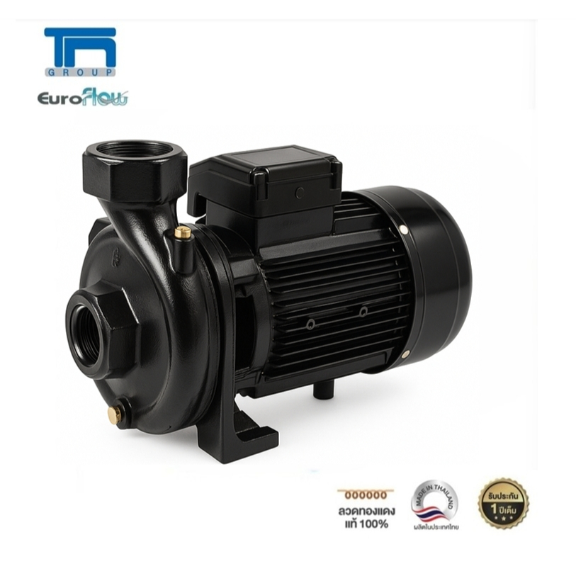 ปั๊มน้ำหอยโข่ง EUROFLOW รุ่น WC200 PLUS 2HP ท่อ 2นิ้วx2นิ้ว 2แรงม้า ...