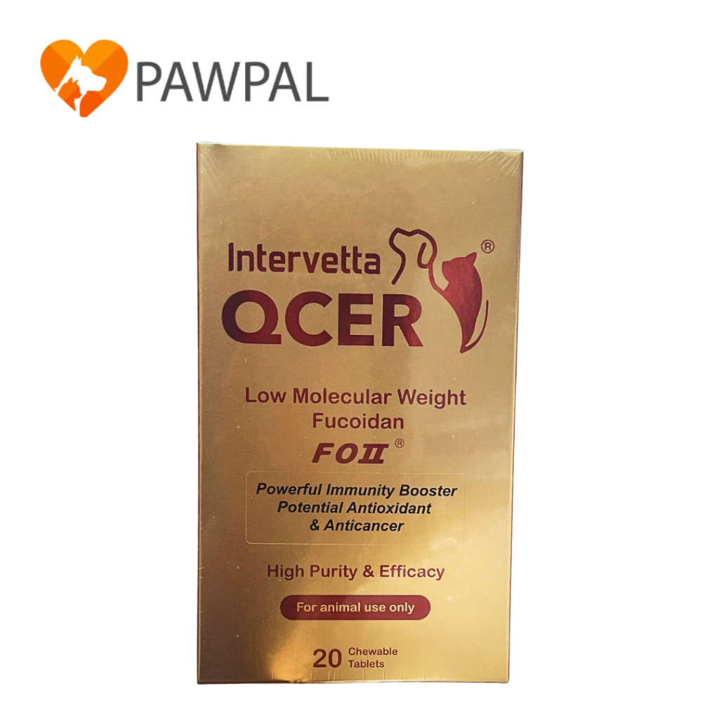 QCER Intervetta 🔥Exp.2027 ต้านมะเร็ง เสริมภูมิคุ้มกัน Fucoidan สุนัข ...