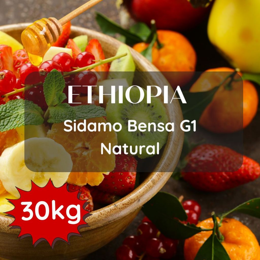New Lot ! สารเมล็ดกาแฟ Ethiopia Sidamo Bensa G1 Natural 30 kg | Shopee ...