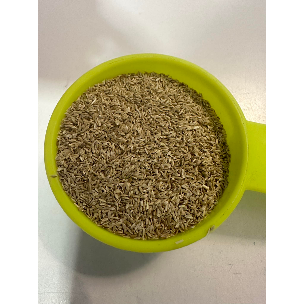 Bermuda, Zoysia & Paspalum Grass Seeds – Premium Lawn Seed for Tropical ...