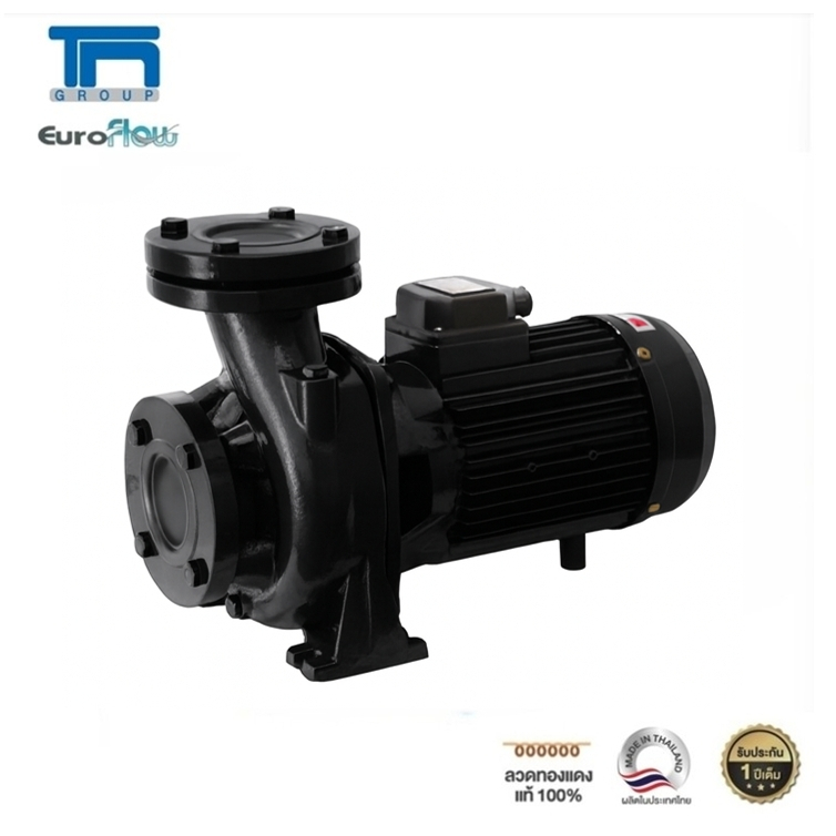 ปั๊มน้ำหอยโข่ง Euroflow รุ่น WSF300/3 (3HP 2P ) 3 แรงม้า ท่อเข้า-ออก 3 ...