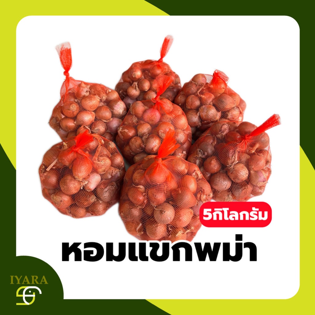 หอมแขกพม่า ไซส์กระเทย บรรจุ5กิโลกรัม | Shopee Thailand