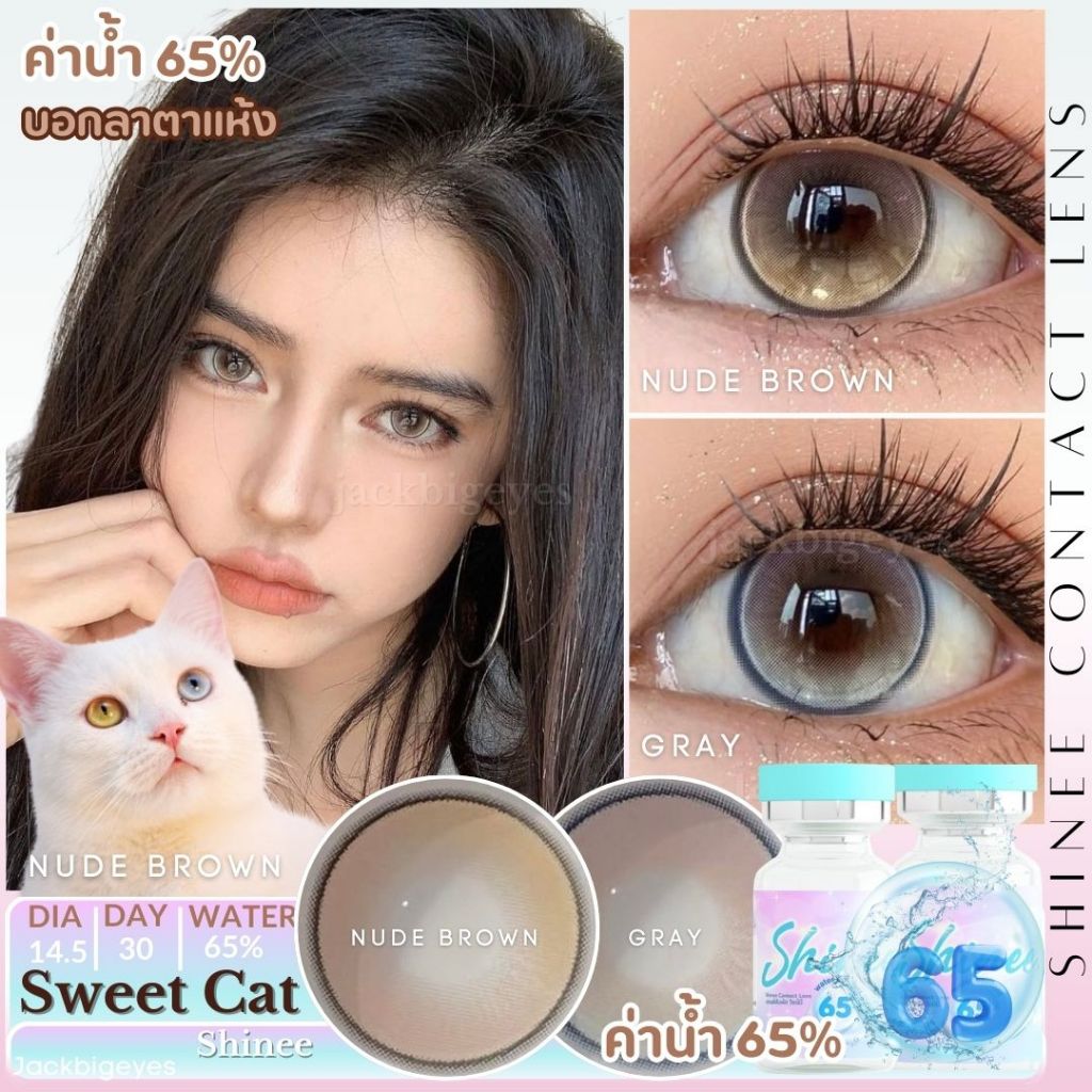 Shinee Premium Lens ค่าอมน้ำ 65% sweet cat เลนส์ฟิวเตอร์ ตาแมวน้อย หวาน ...