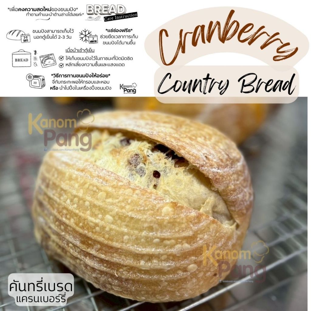 (Pre-order จัดส่งรอบวันอาทิตย์ 02/11/68) Cranberry Country Bread คันทรี ...