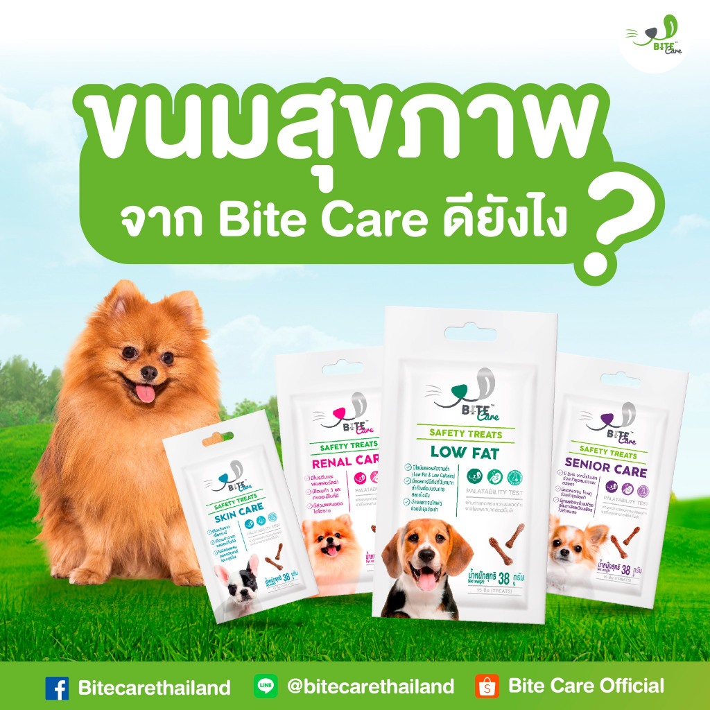 bite care ขนมเพื่อสุขภาพ มีสูตรเฉพาะทาง 38 กรัม 15 ชิ้น | Shopee Thailand