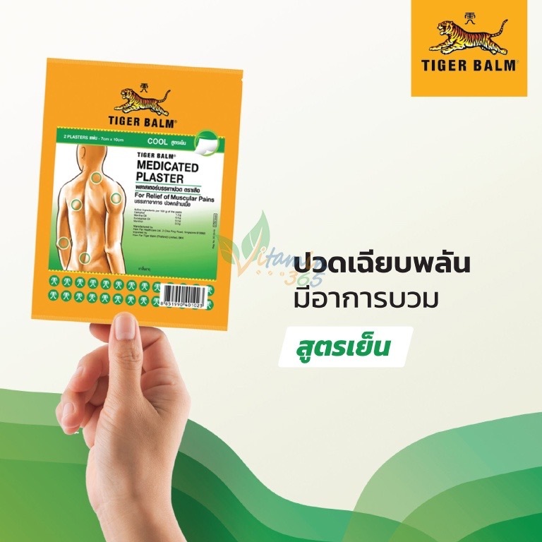 Tiger Med Plaster-Hr Cool [ยกกล่อง 24 ซอง] พลาสเตอร์บรรเทาปวด เอช อาร์ ...