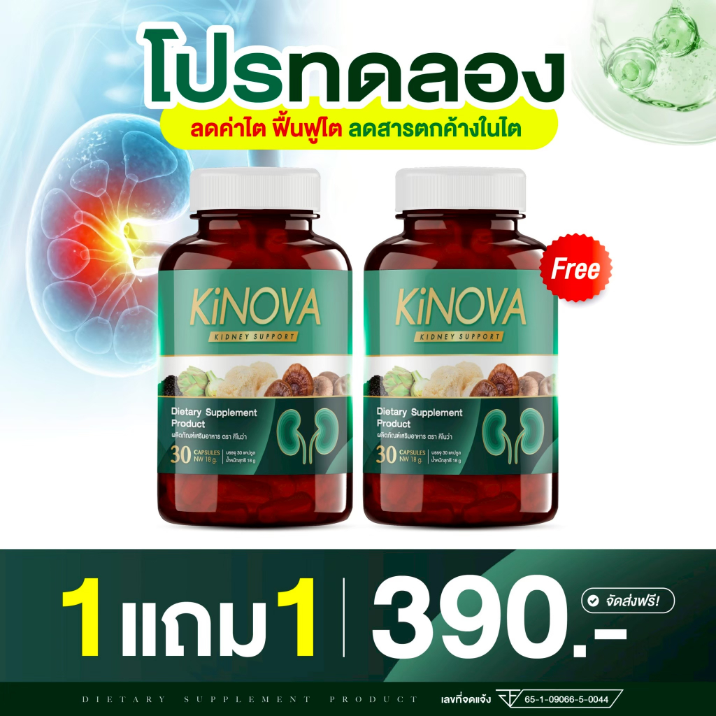 [1แถม1] Kinova วิตามินบำรุงไต เเนะนำโดยเเพทย์ผู้เชี่ยวชาญ | Shopee Thailand