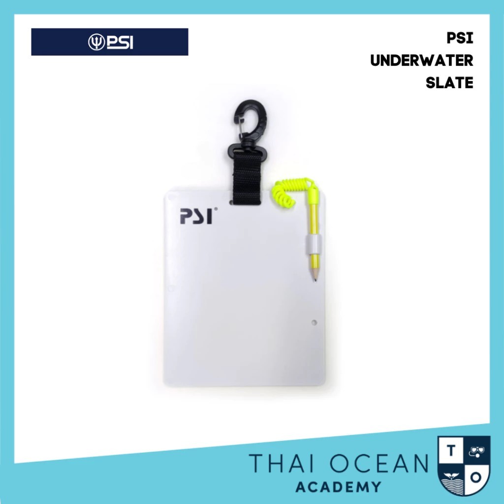 PSI Underwater Slate ( Small / Large ) | Shopee Thailand