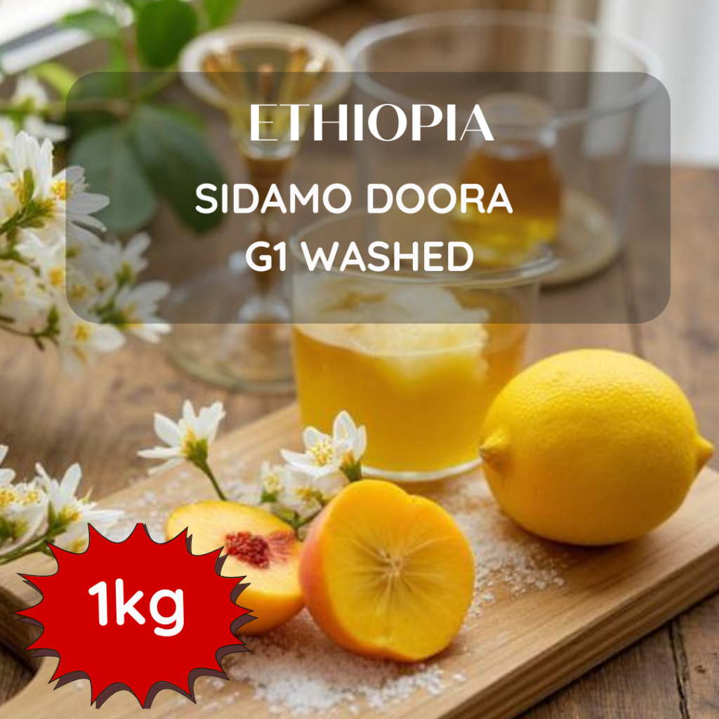 สารเมล็ดกาแฟ Ethiopia Sidamo Doora G1 Washed ขนาด 1000กรัม | Shopee ...
