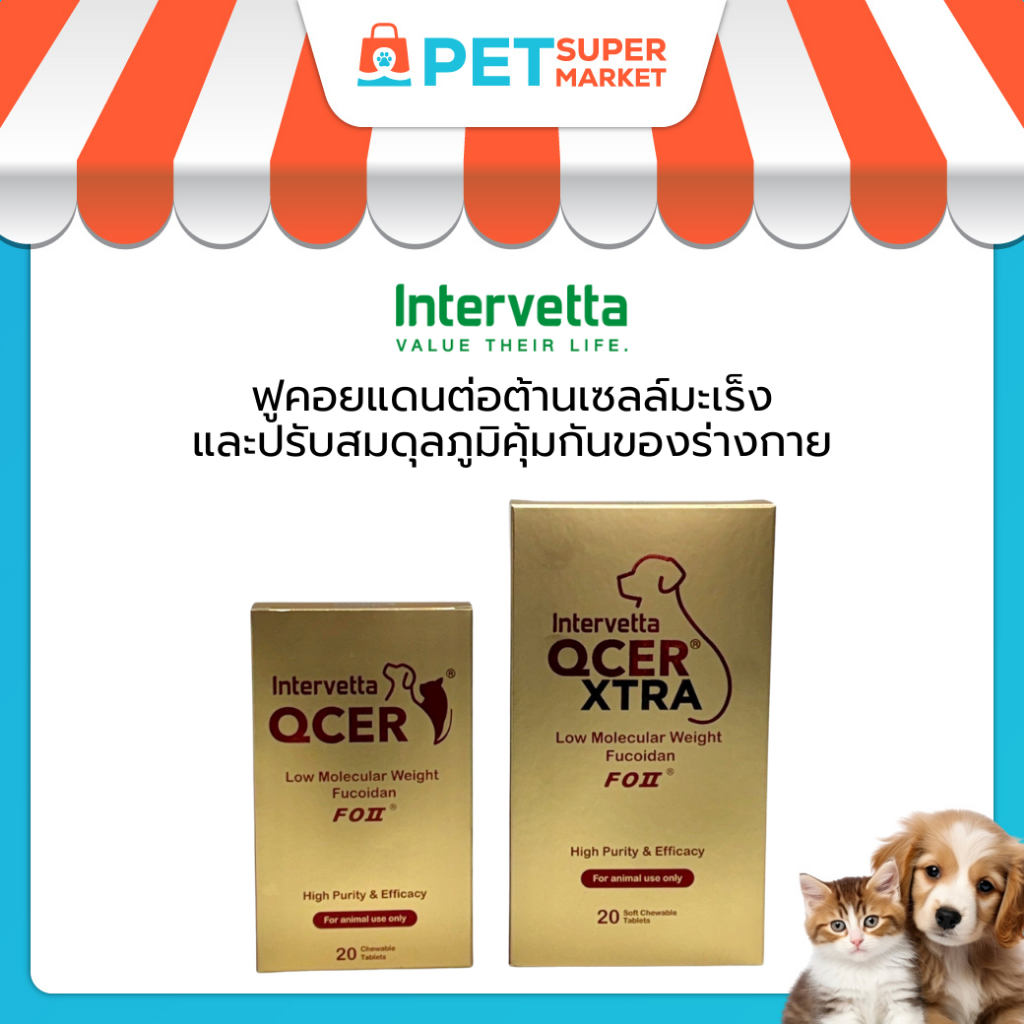 QCER คิวเซอร์ อาหารเสริมต่อต้านมะเร็ง เสริมภูมิคุ้มกันและปรับสมดุล ...