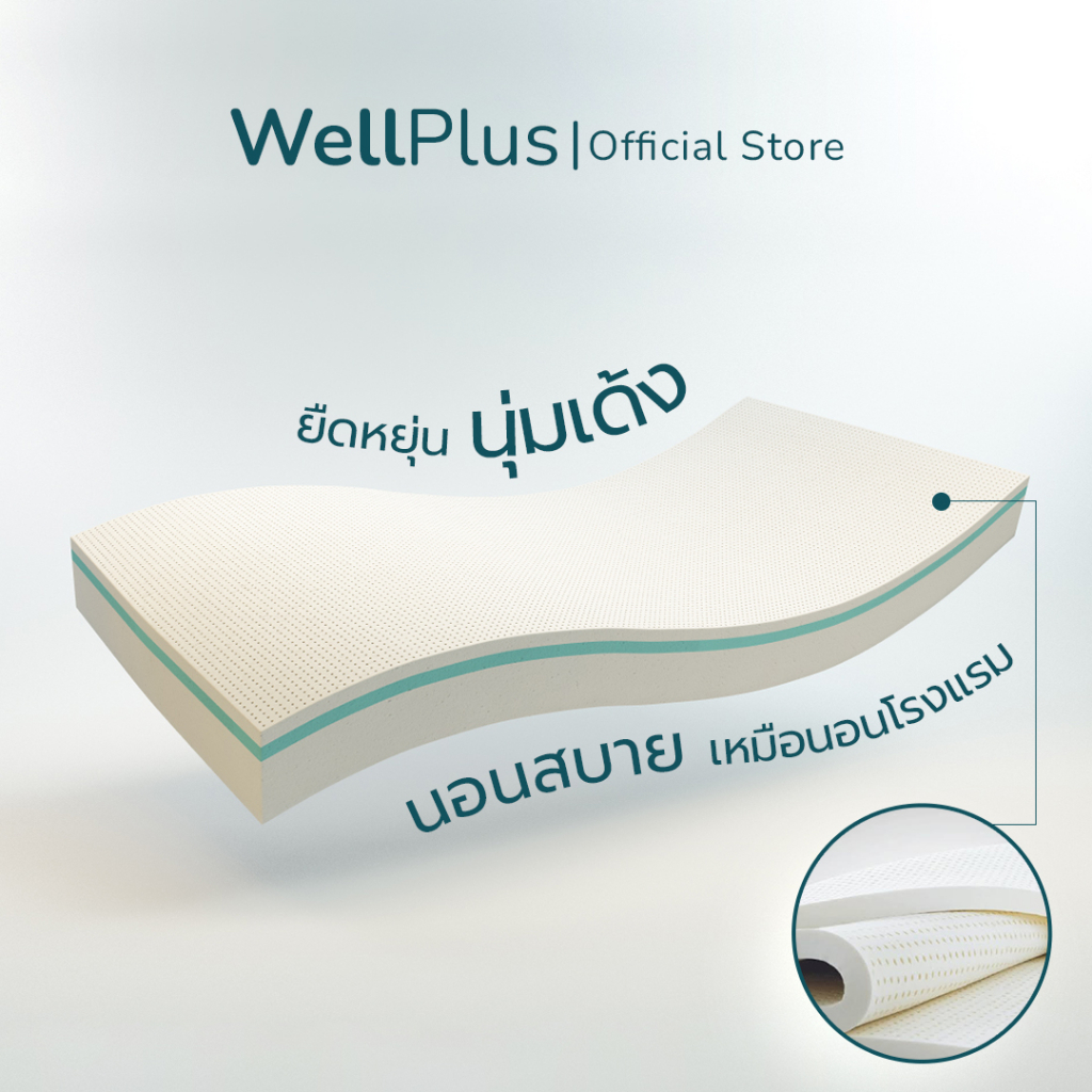 WellPlus ที่นอนยางพารา แท้ ท็อปเปอร์ รุ่น soft ยางฉีดขึ้นรูปทั้งแผ่น ...