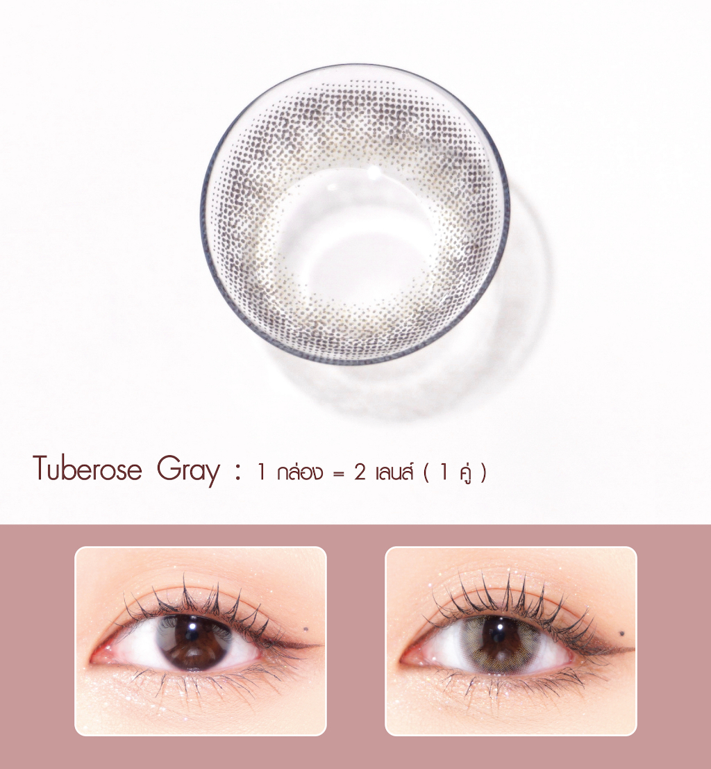 PEGAVISION คอนแทคเลนส์สี รายเดือน รุ่น KAORI สี Tuberose Gray (2 เลนส์ ...