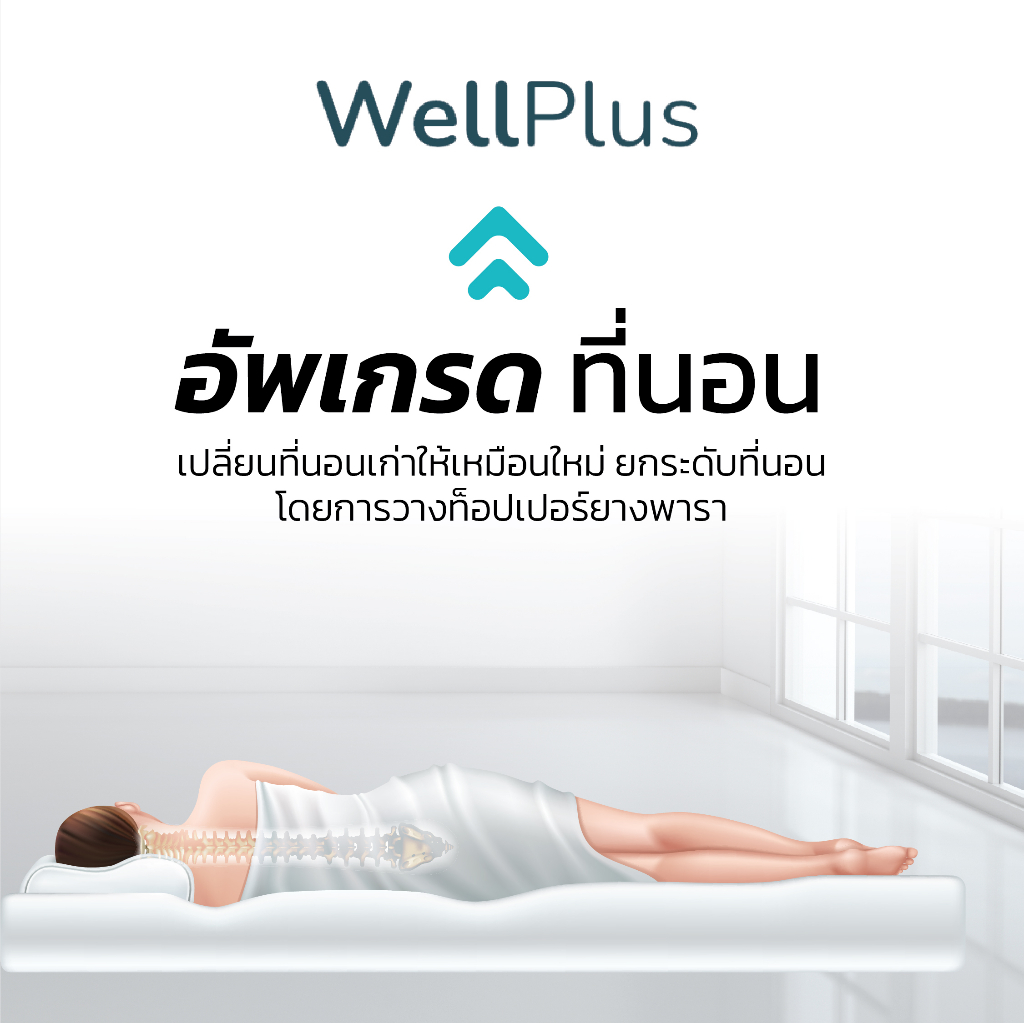 WellPlus ที่นอน Air Collection ยางพาราแท้ พับได้ ม้วนได้ หนา 1-4 นิ้ว | Shopee Thailand
