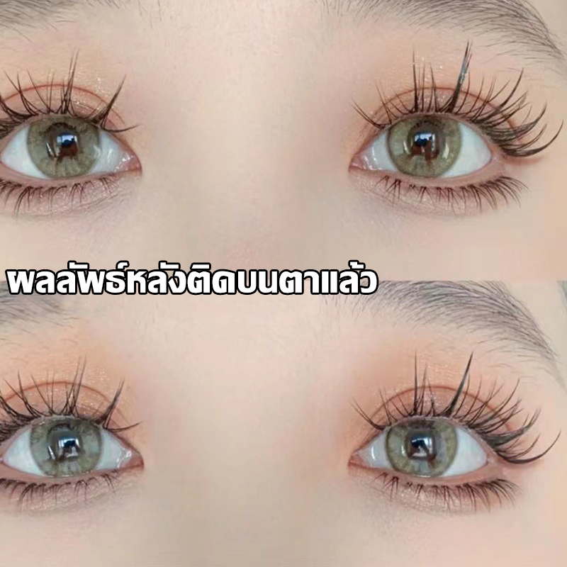 ISABELLA พร้อมส่ง ขนตาปลอมแบบเซท แบบช่อขนตา นิ่ม ขนตาธรรมชาติ ขนตาปลอม ...