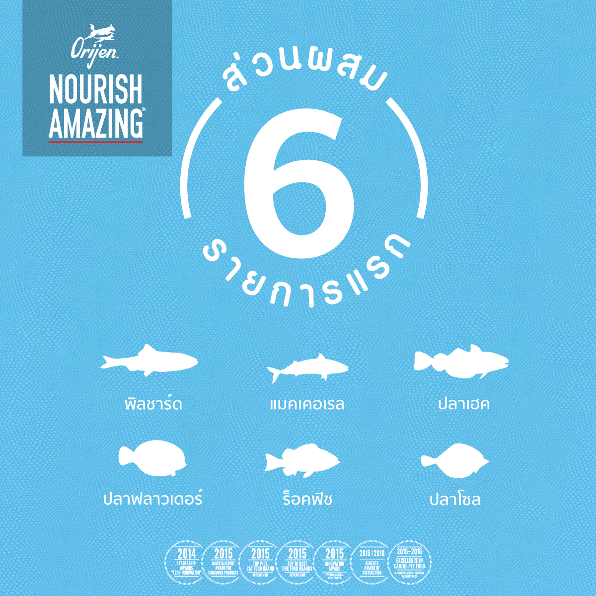 ORIJEN Six Fish Dog 6 กก. (โอริเจน ซิกซ์ ฟิช) สำหรับสุนัขทุกช่วงวัย ทุก ...